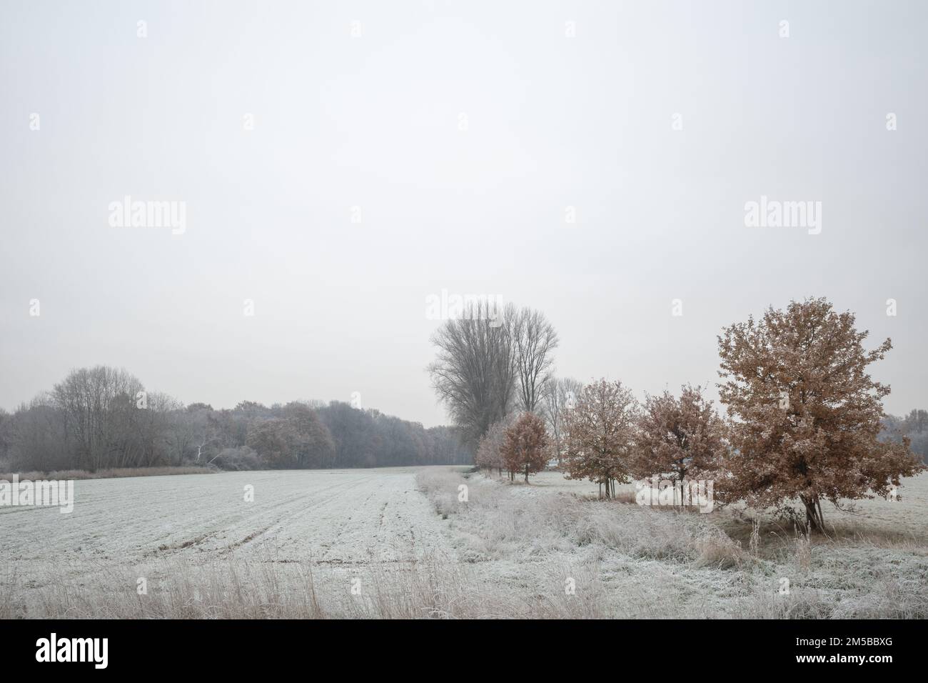Outdoor sunny scenery of thick layer snow cover land and field ...