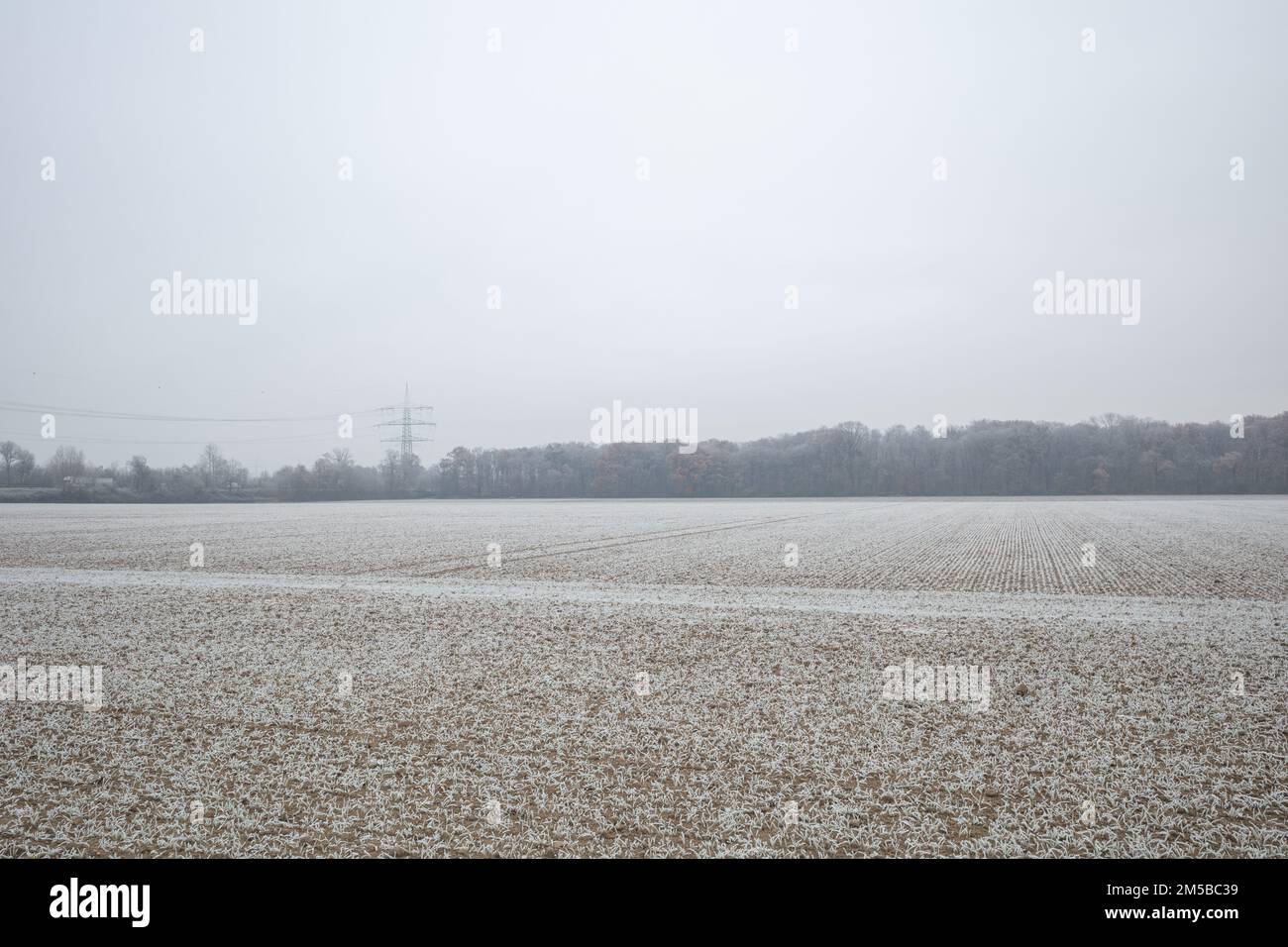 Outdoor sunny scenery of thick layer snow cover land and field ...