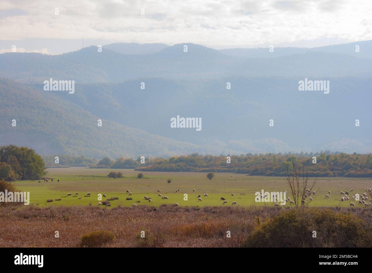 A scenic view of a beautiful landscape filled with valleys and ...