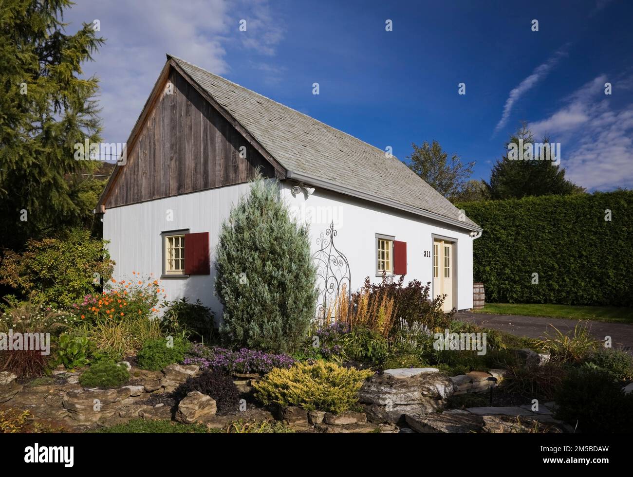 Wichita blue juniper hi-res stock photography and images - Alamy