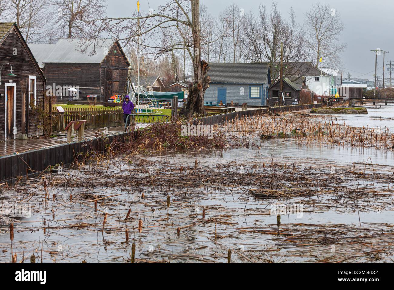 Wooden flood barrier holding back severe coastal flooding in Steveston ...