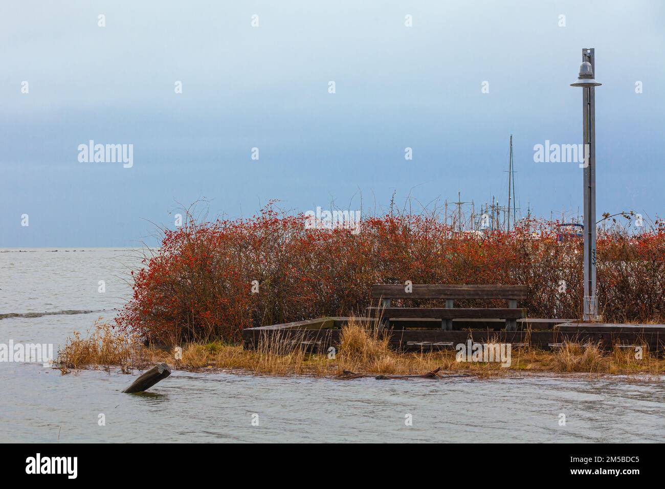 Waterfront seating hi-res stock photography and images - Alamy