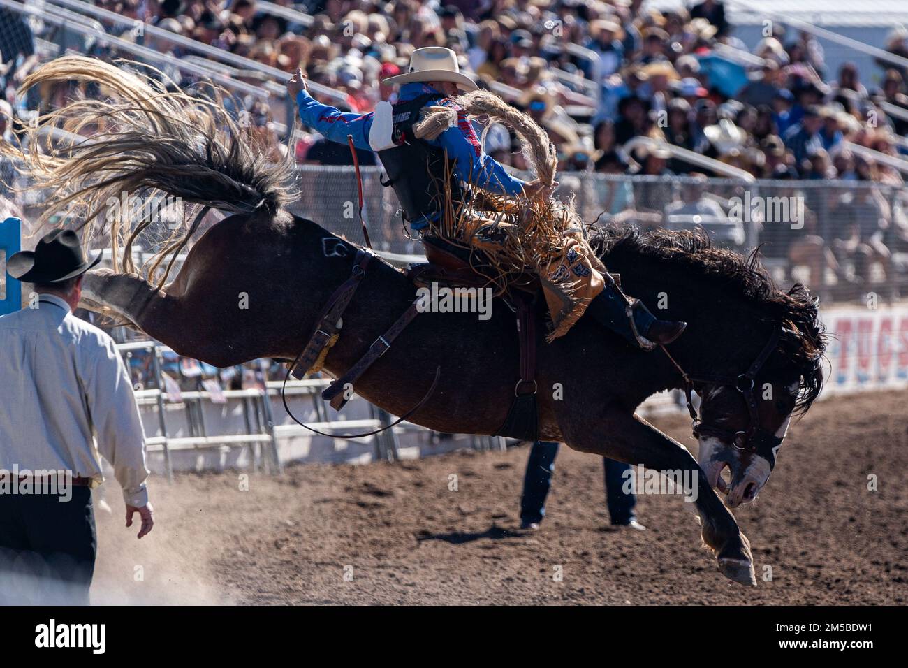 U.S. Marines from Recruiting Substation North and South Tucson show ...