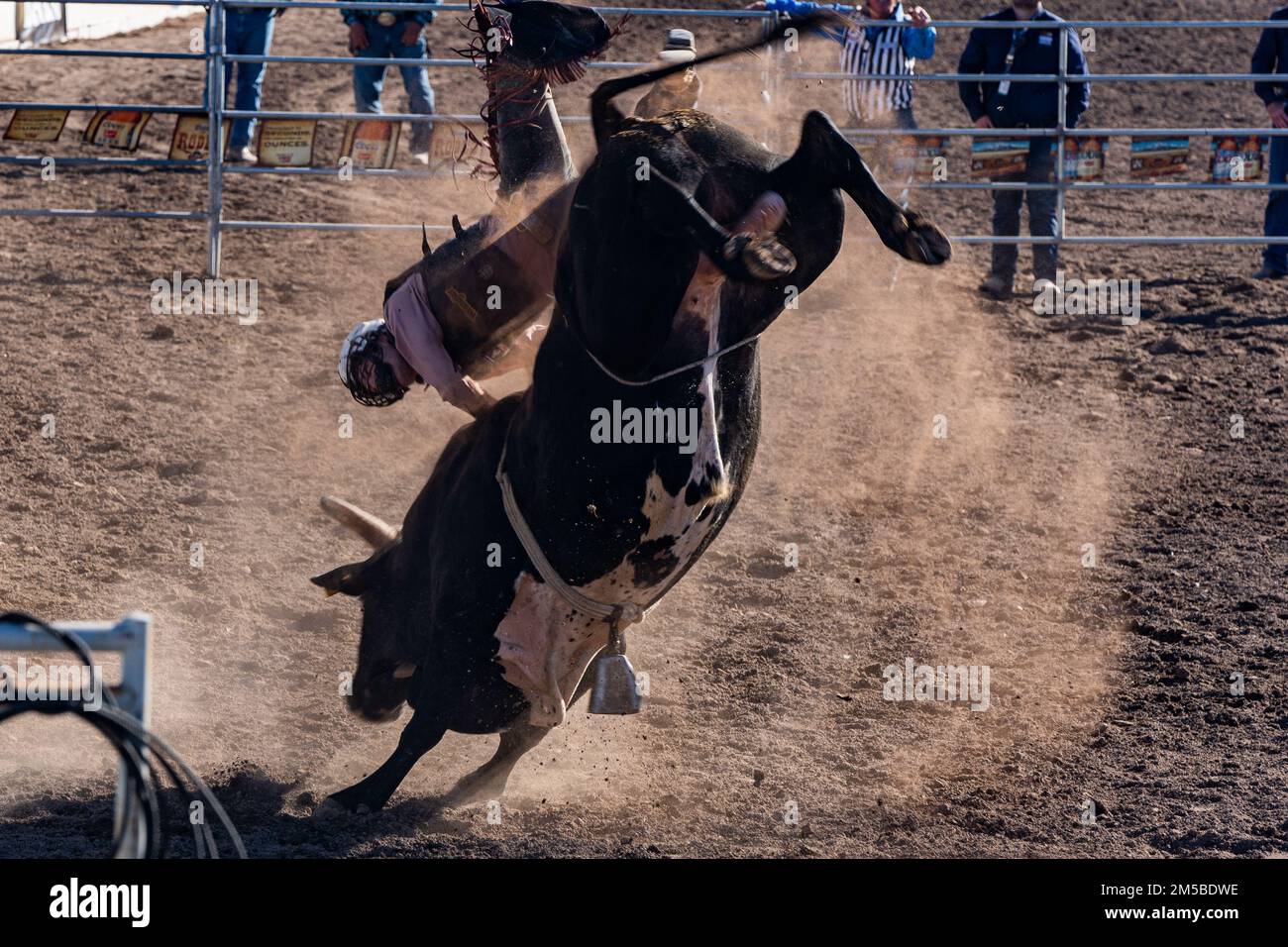 U.S. Marines from Recruiting Substation North and South Tucson show ...