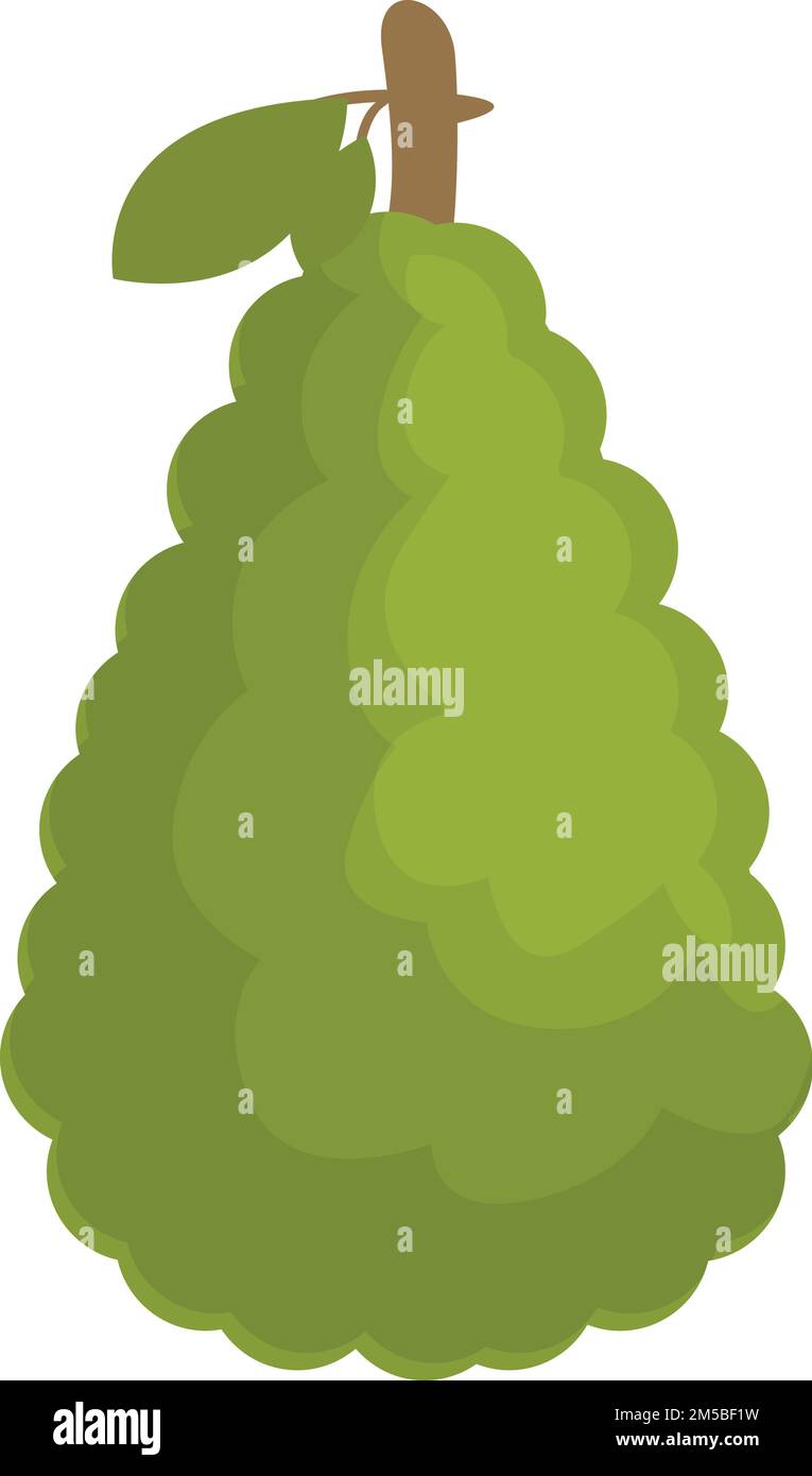 Whole jack fruit icon cartoon vector. Half food. Tropical dessert Stock ...