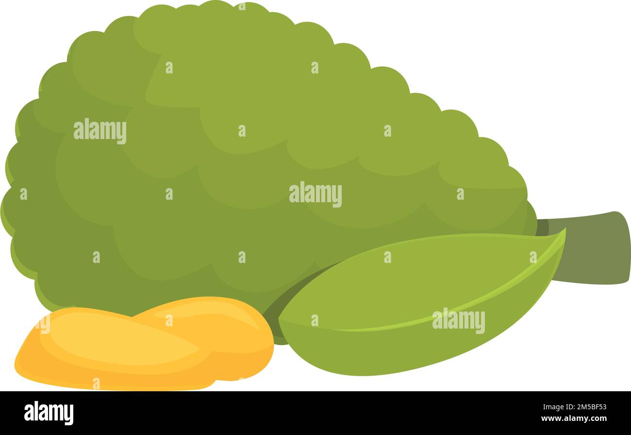 Organic jackfruit icon cartoon vector. Fruit food. Nature tropical ...