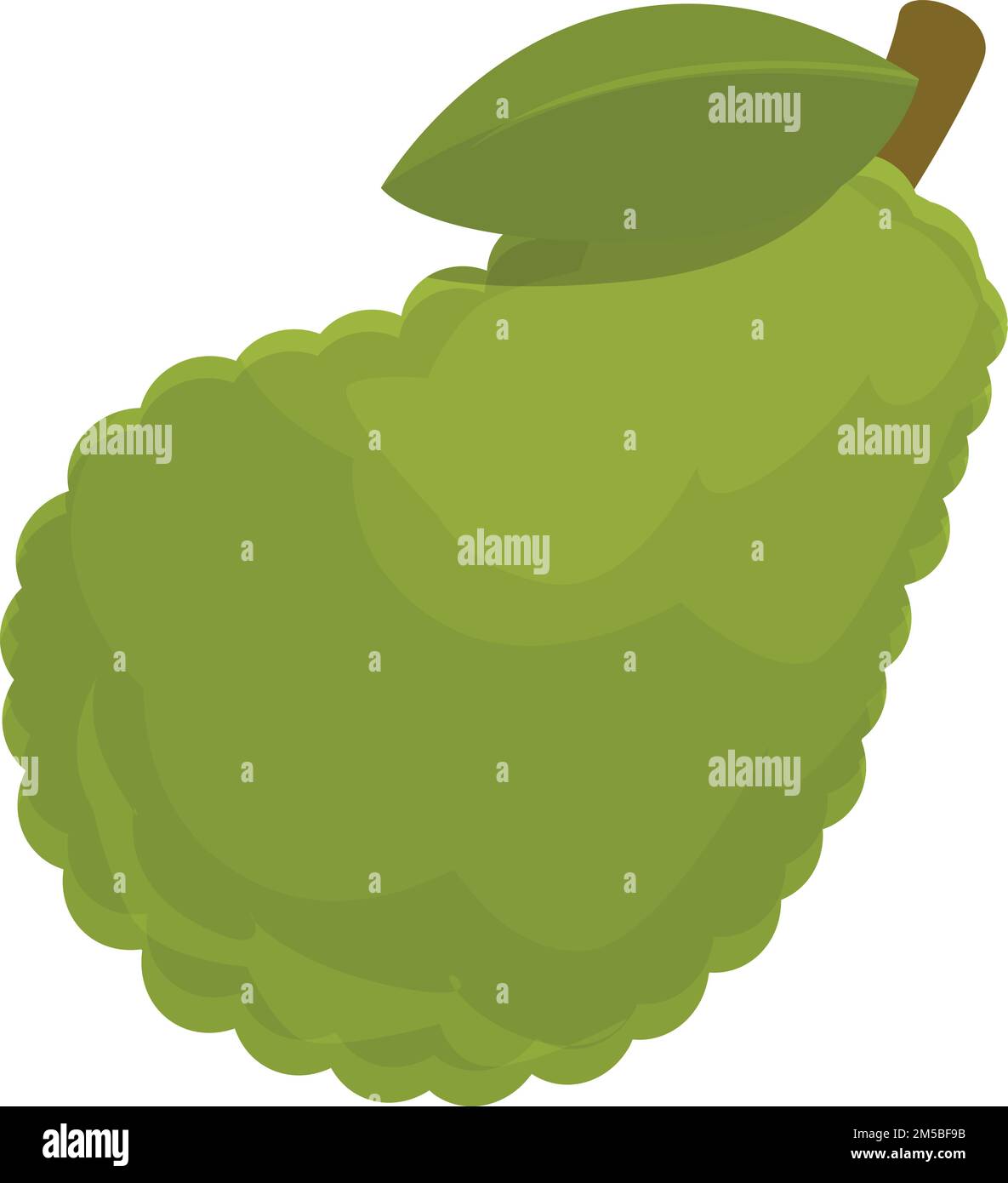 Green jackfruit icon cartoon vector. Organic fruit. Tropical nature ...