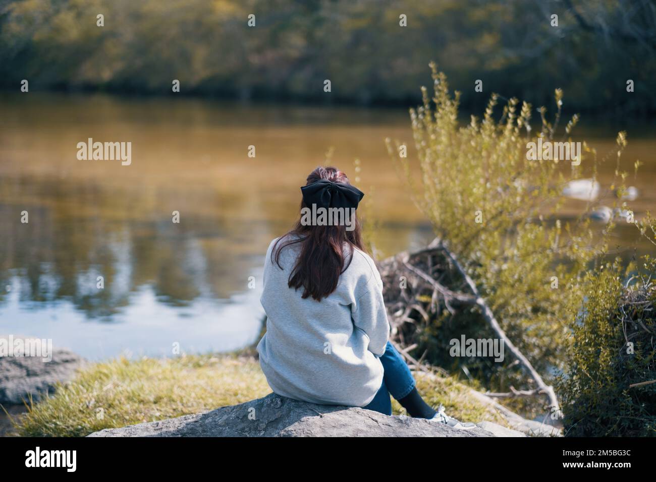A scenic view of a woman sitting on a rock by the riverbed on a sunny ...