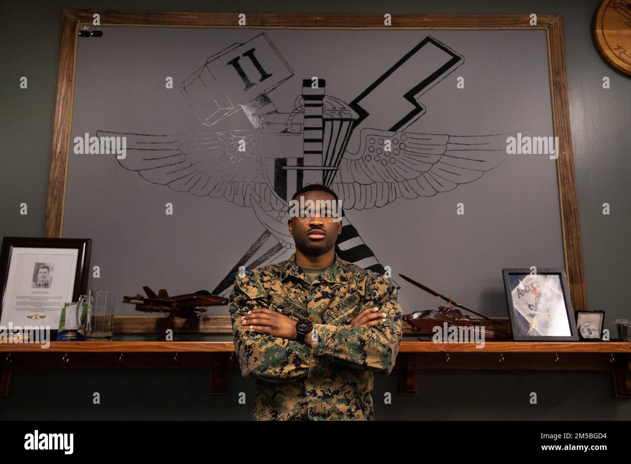 U.S. Marine Sergeant Alexander Skye Shepherd, lead Fire Support ...