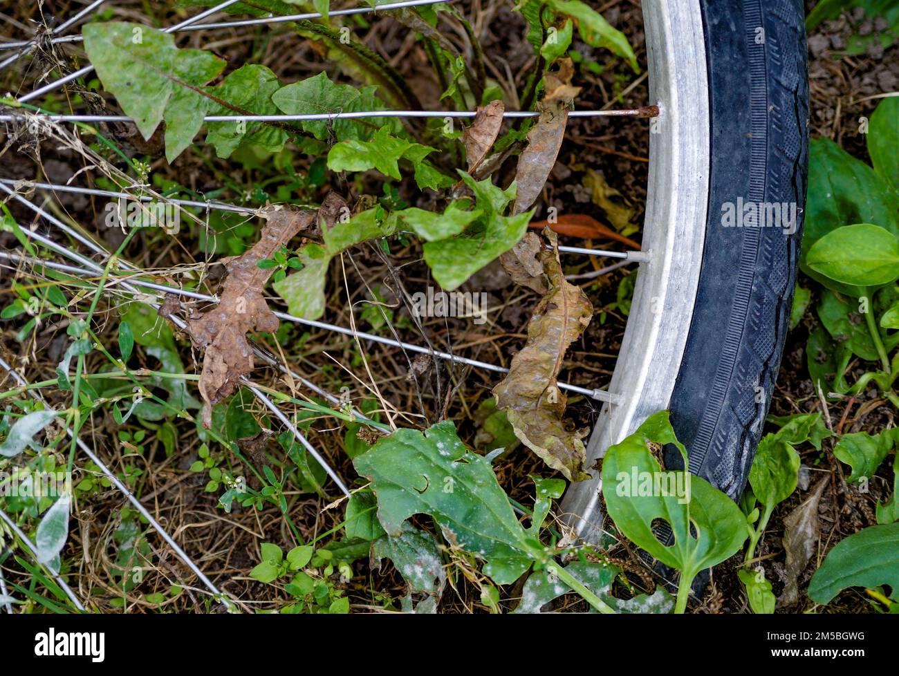 Bicycles on ground hi-res stock photography and images - Alamy