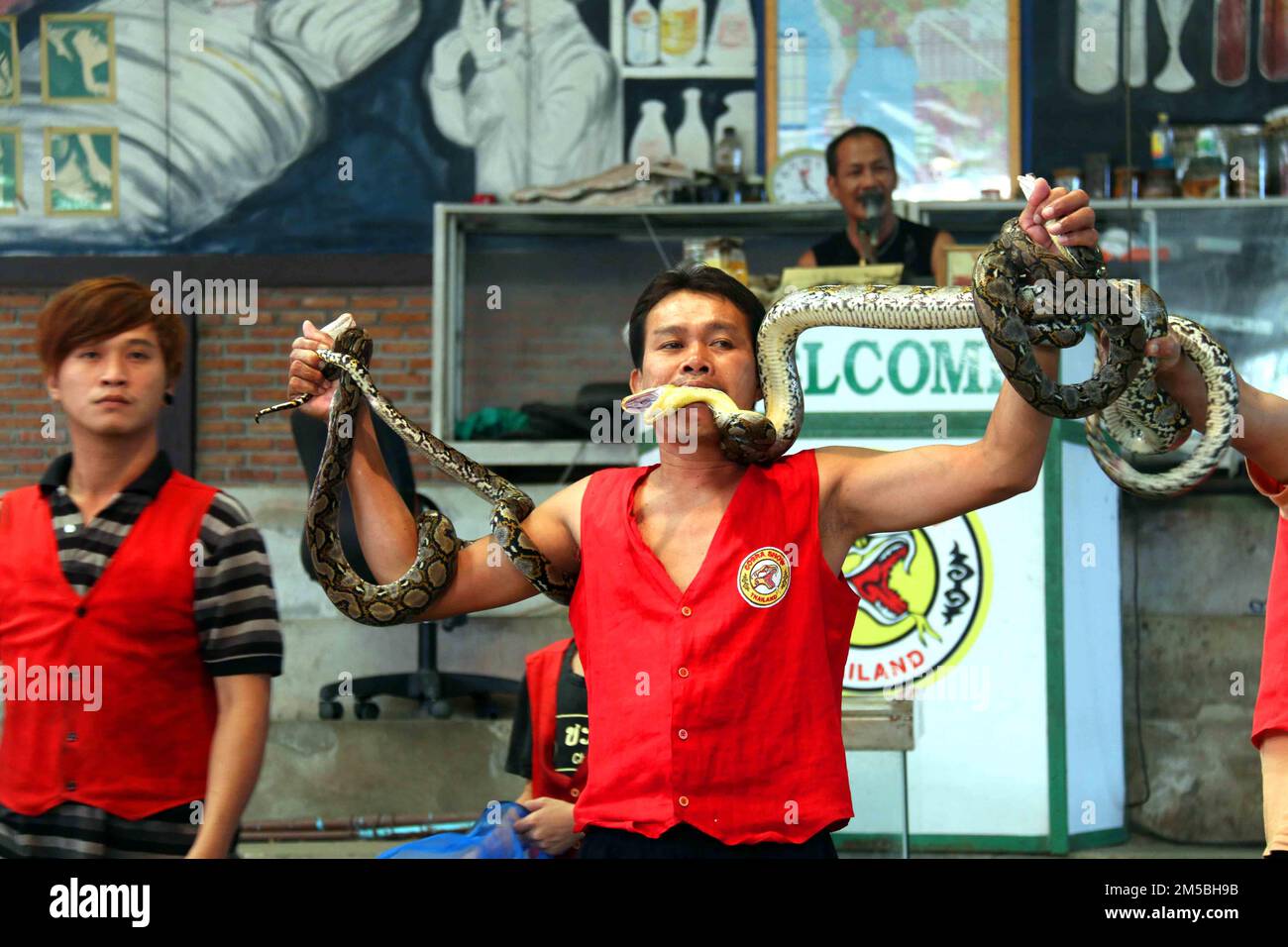 Cobra Show in Thailand, Visit Asia Stock Photo - Alamy