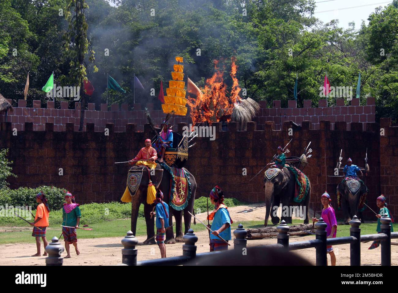Elephant Show in Thailand Stock Photo - Alamy