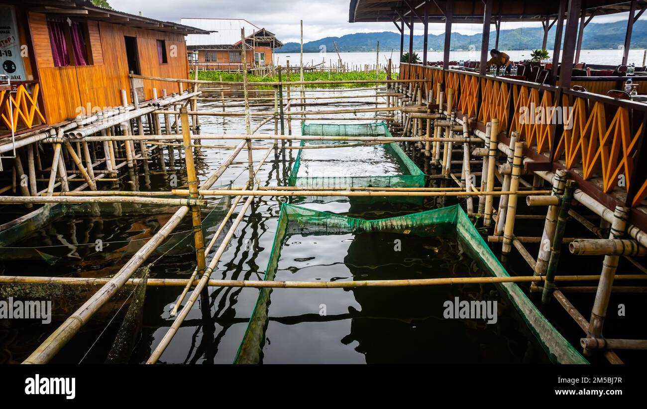 traditional fish farm on lake tondano made of bamboo Stock Photo - Alamy