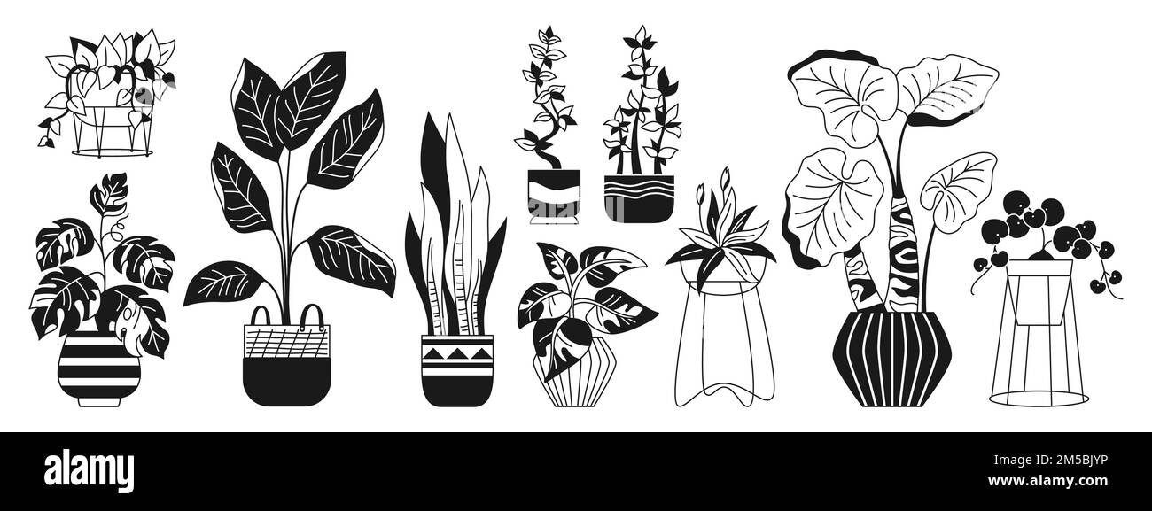 House potted plant, trendy glyph linear set. Exotic houseplants ...