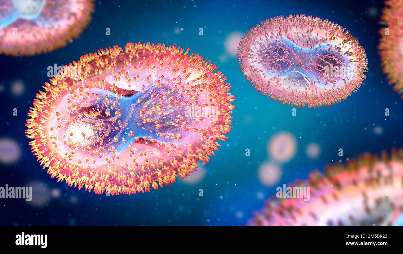 illustration of Variola virus particles, the cause of smallpox. Each ...