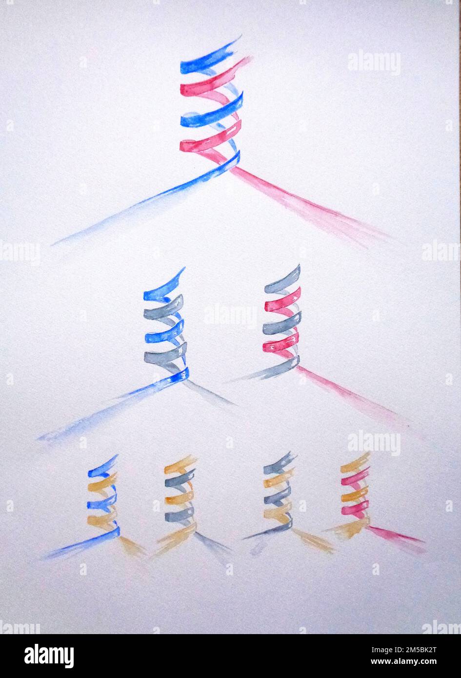 Illustration of a DNA (deoxyribonucleic acid) molecule (top ...
