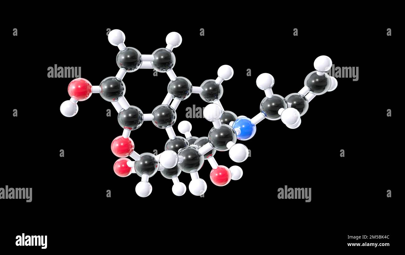 Molecular model of the opioid overdose treatment naloxone (Narcan). As ...