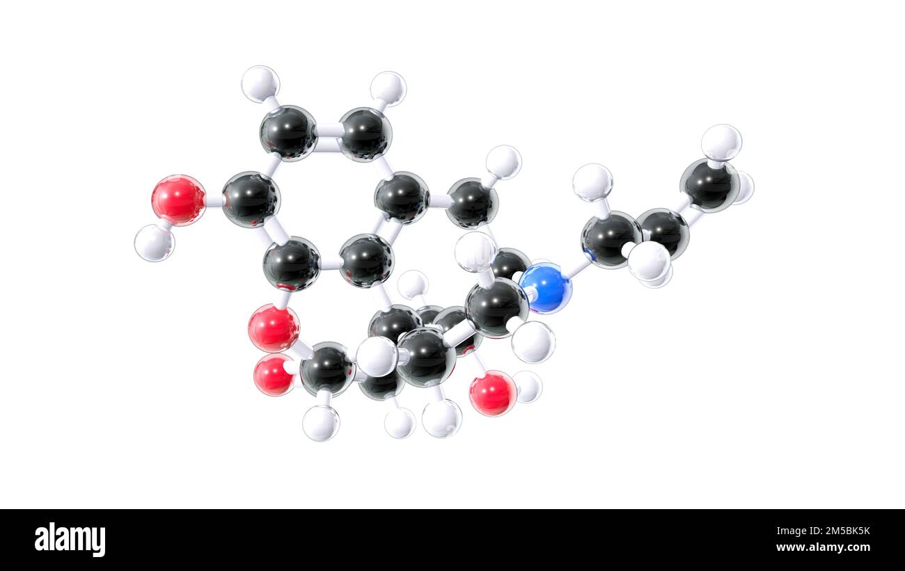 Molecular model of the opioid overdose treatment naloxone (Narcan). As ...