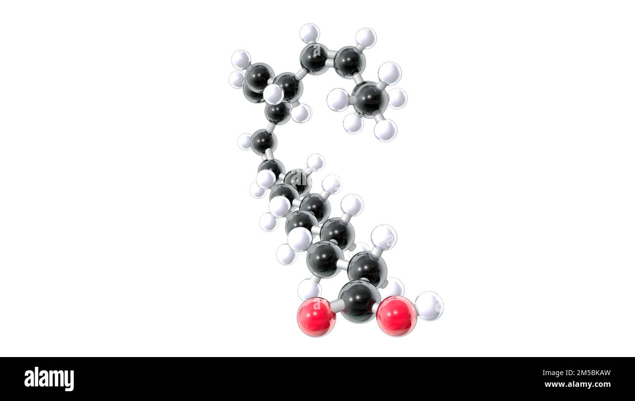 Alpha-linolenic acid (ALA), molecular model. ALA is an essential ...