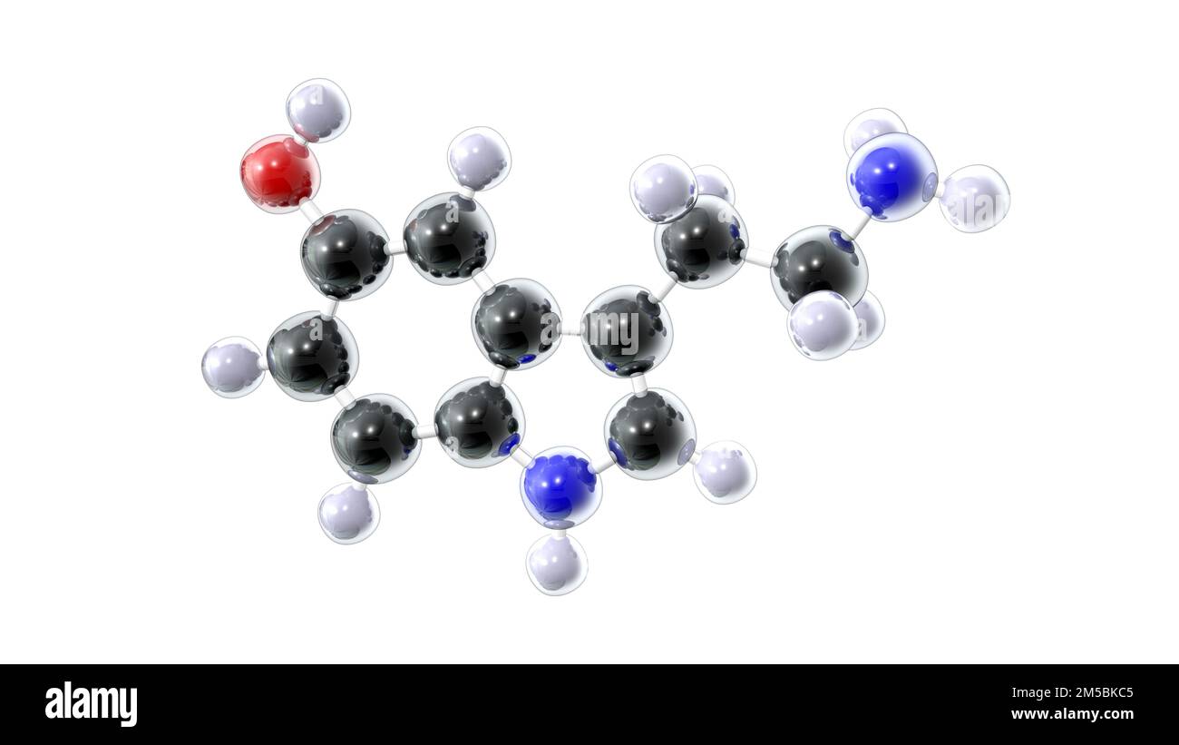 Serotonin Molecular Model Serotonin Is A Hormone And Neurotransmitter In The Peripheral And