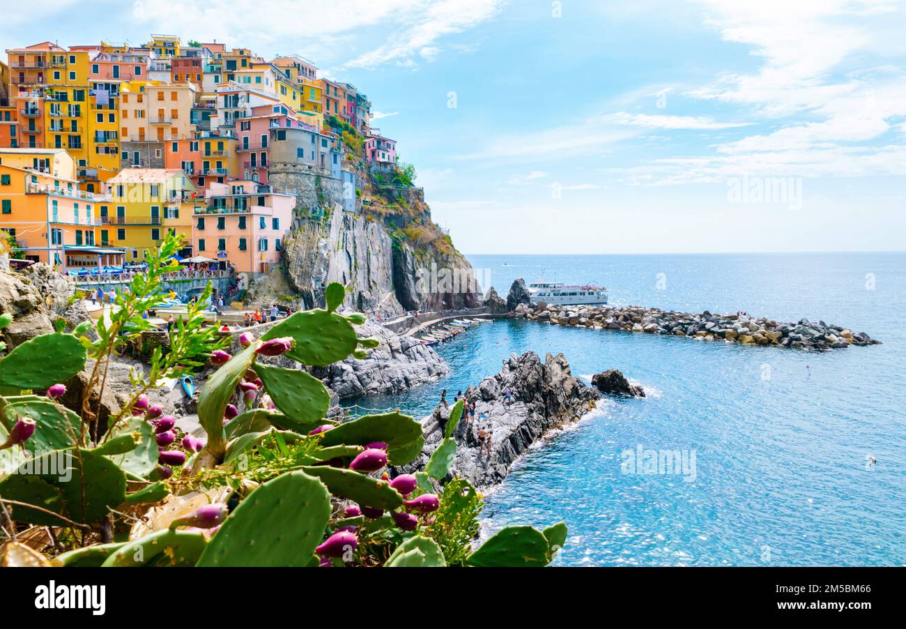Manarola Village Cinque Terre Italy. the colorful town of Liguria one ...