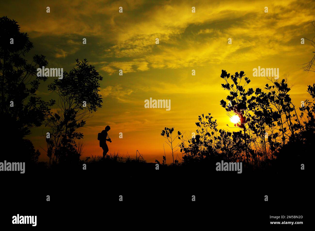 Sampan and sunrise hi-res stock photography and images - Alamy