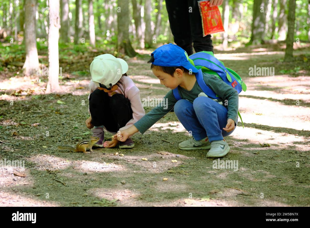 children feeding wildlife on hiking trail Stock Photo - Alamy