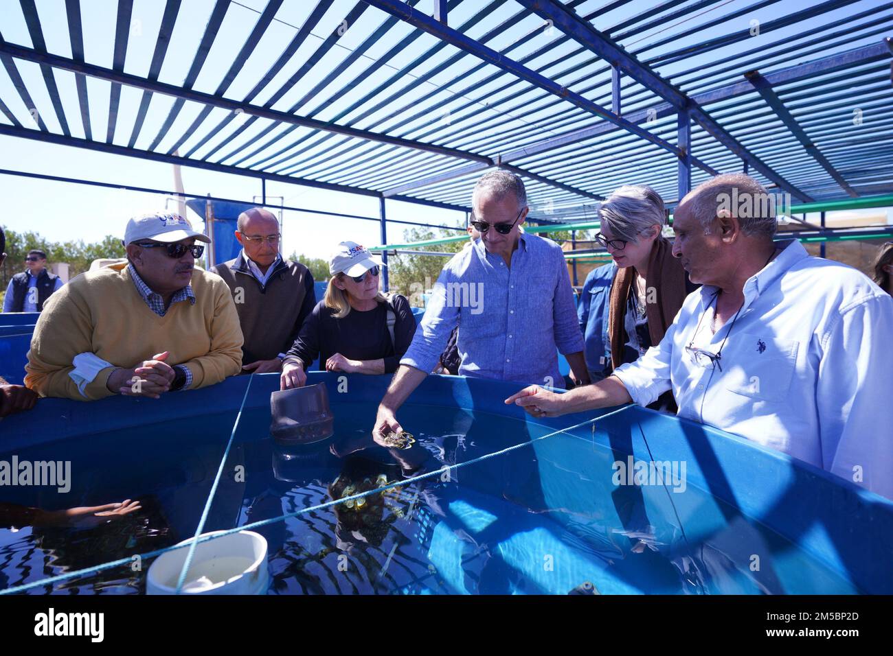 USAID Mission Director Leslie Reed visits a giant clam hatchery at ...