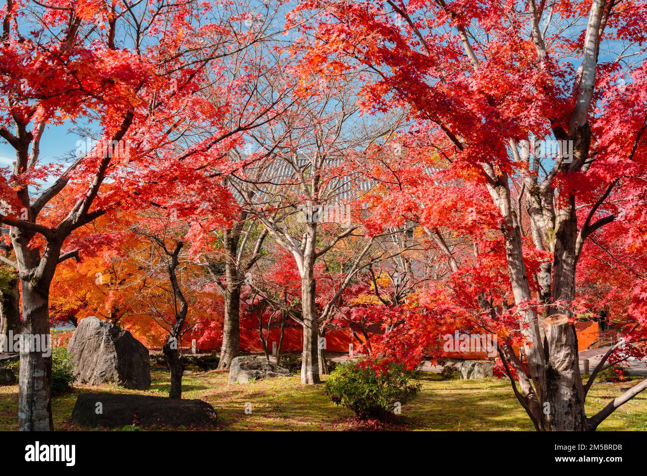 Autumn of Chishaku-in temple in Kyoto, Japan Stock Photo - Alamy