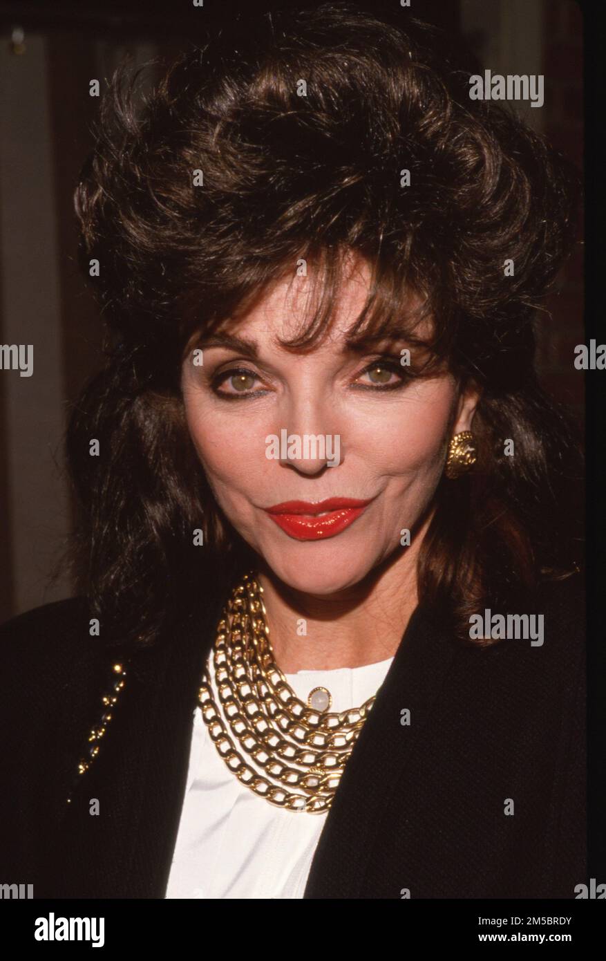Joan Collins at the Party for the 200th Episode of Dynasty on December ...