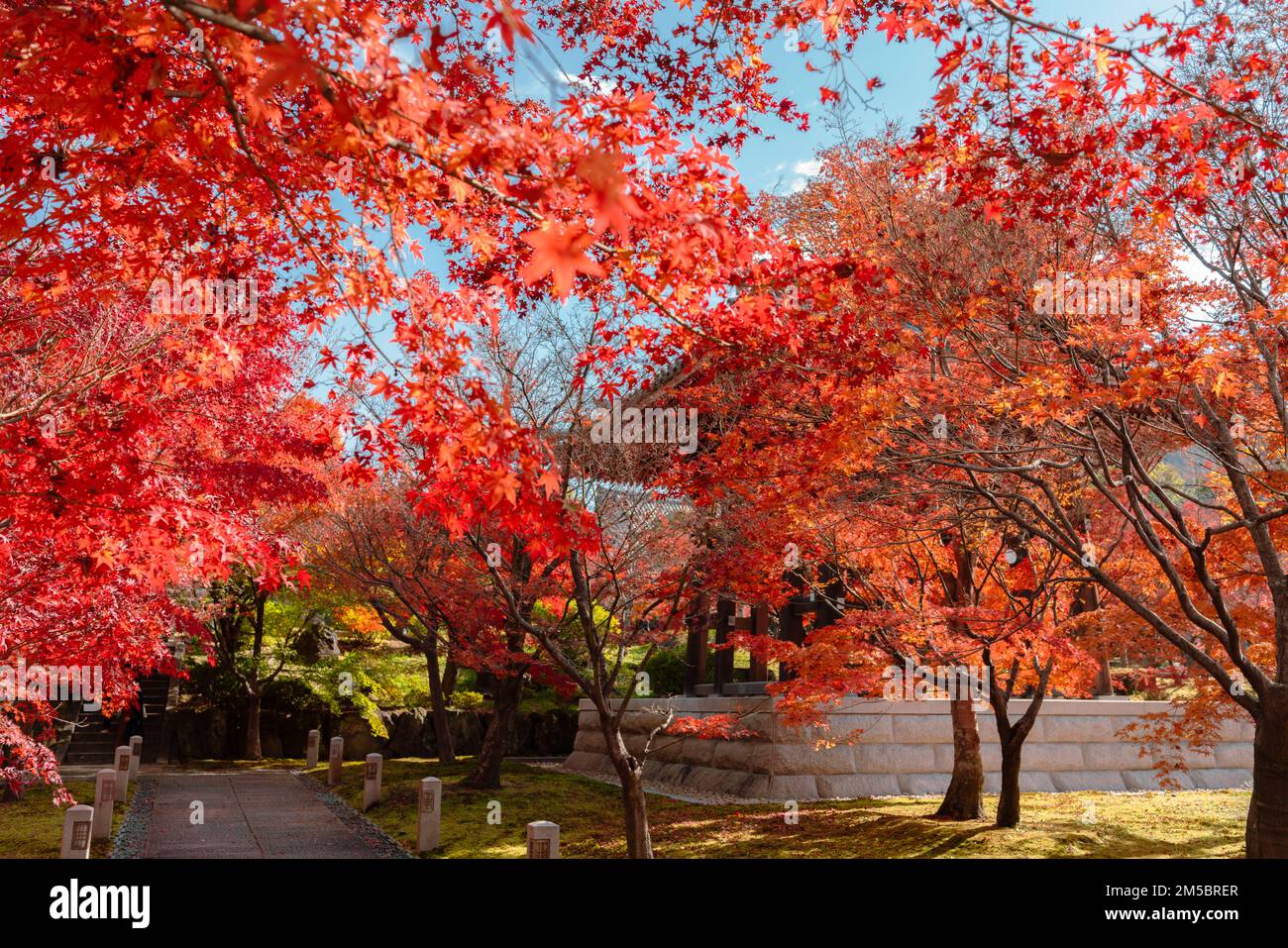 Autumn of Chishaku-in temple in Kyoto, Japan Stock Photo - Alamy
