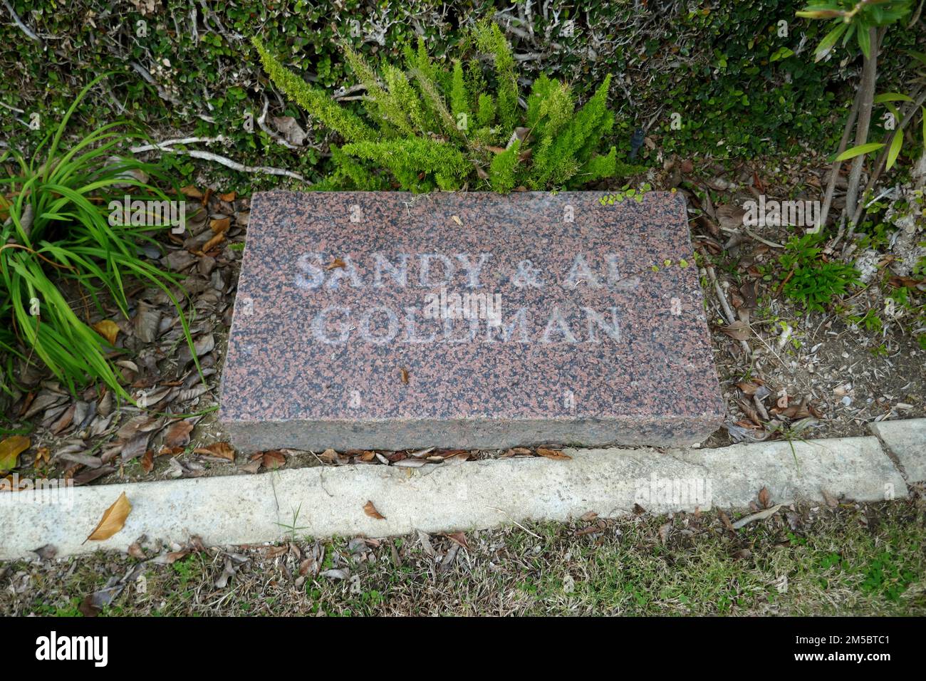 Sandy balson hi-res stock photography and images - Alamy