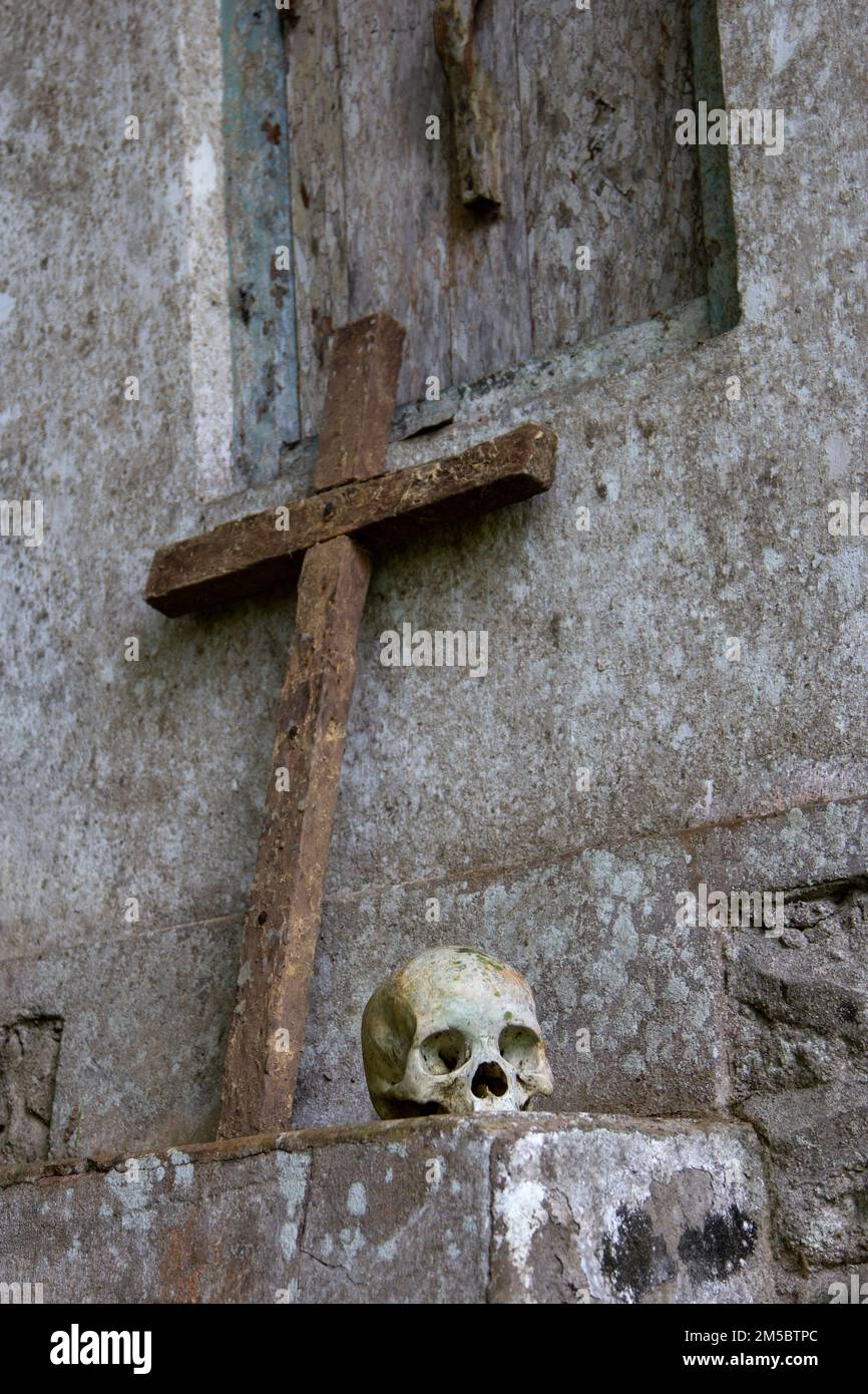 Skeleton tribe hi-res stock photography and images - Alamy