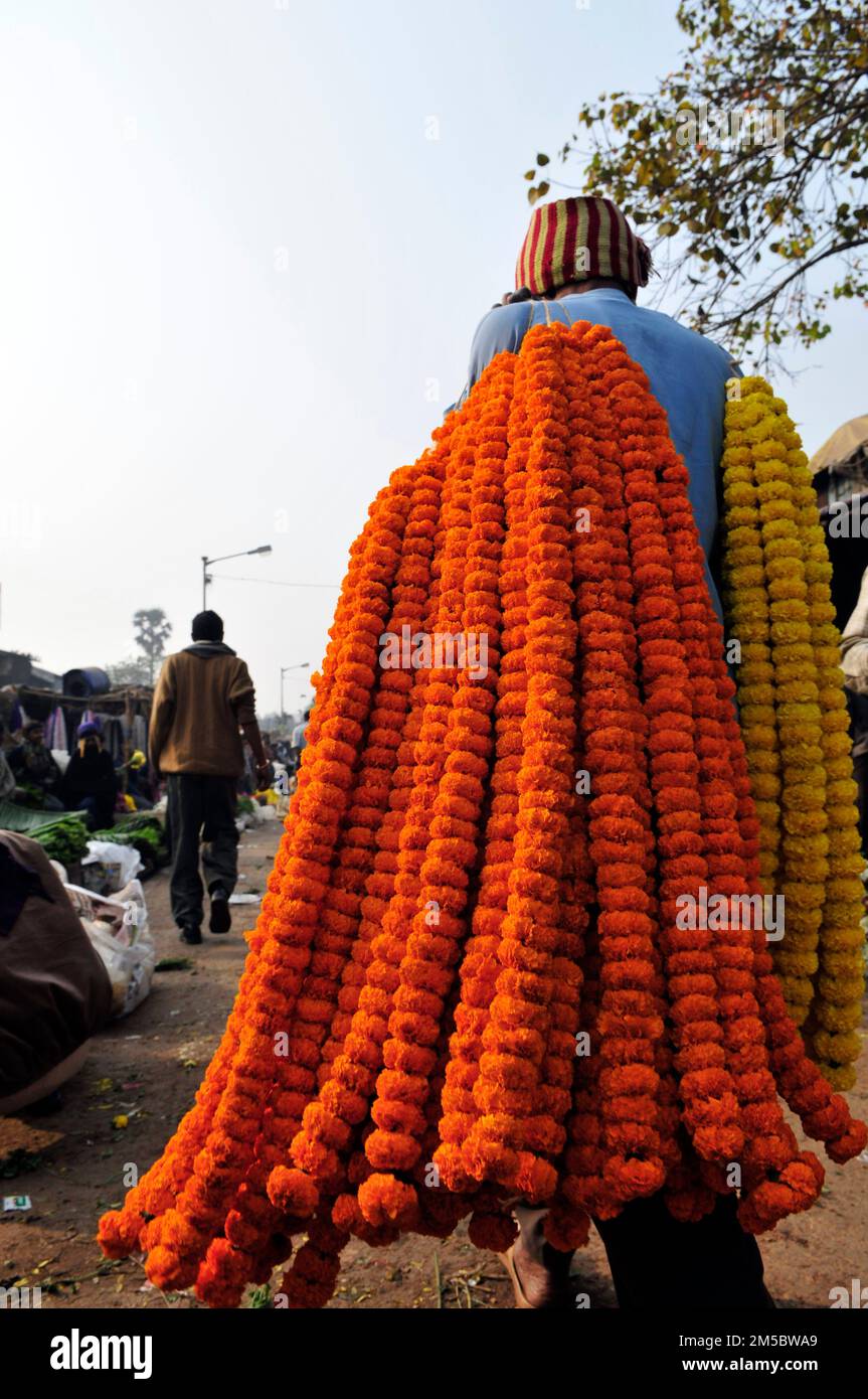 Mallick Ghat is one of the biggest flower markets in Asia. Early ...