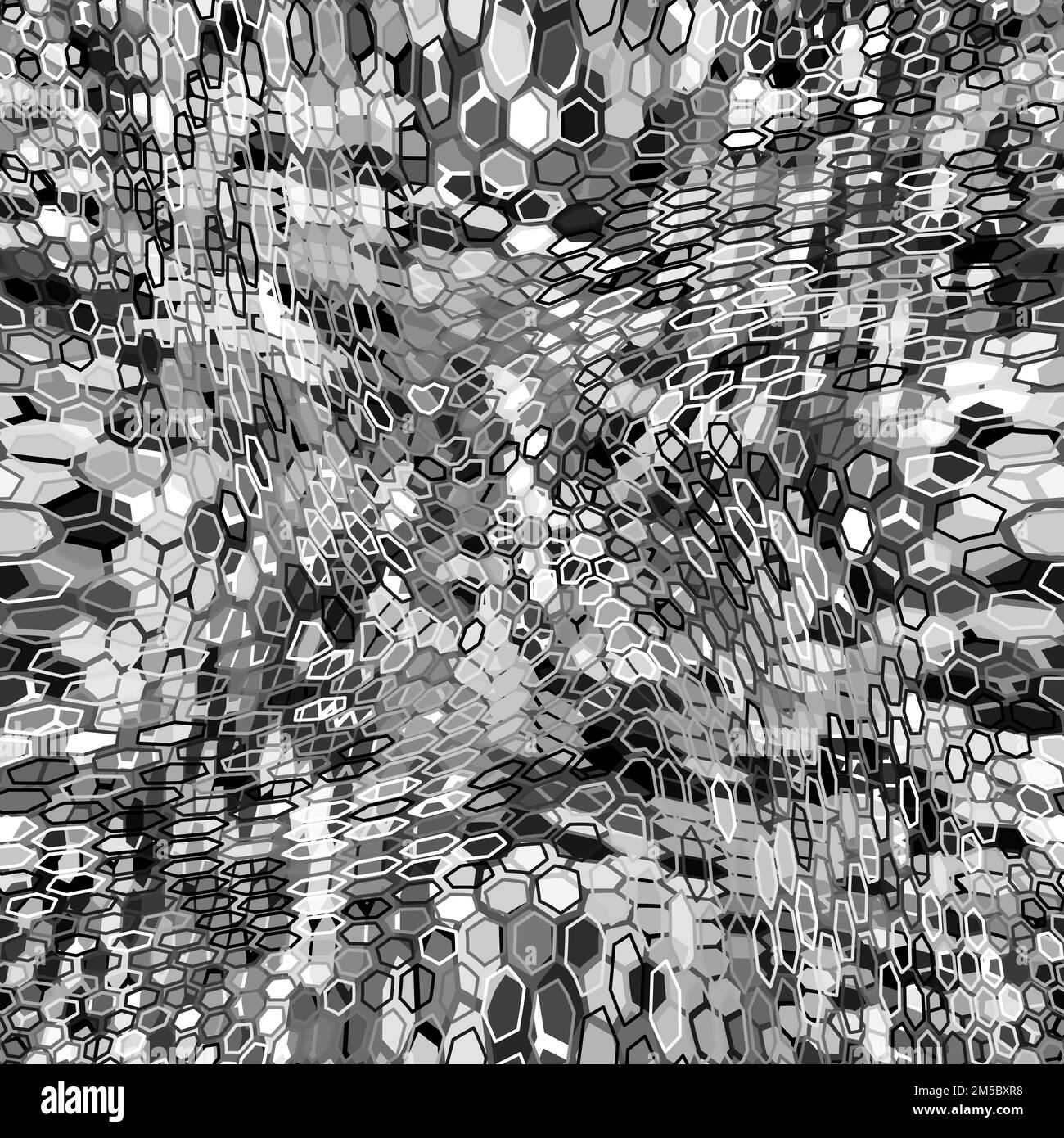 Hexagonal scales Black and White Stock Photos & Images - Alamy