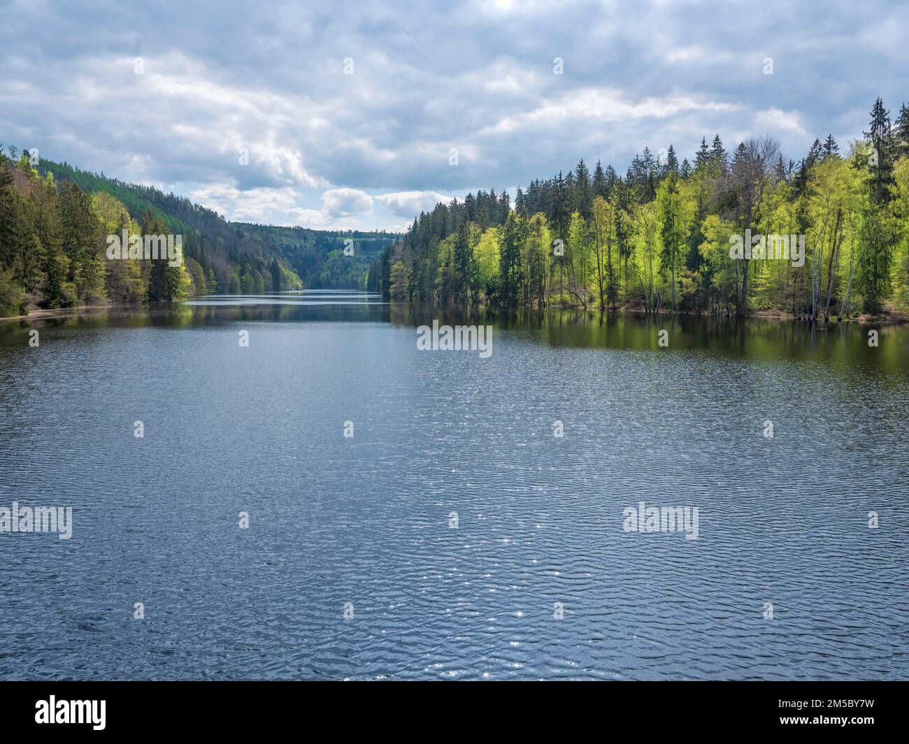 Burgkhammer Dam in spring, Burgk, Thuringia, Germany Stock Photo - Alamy