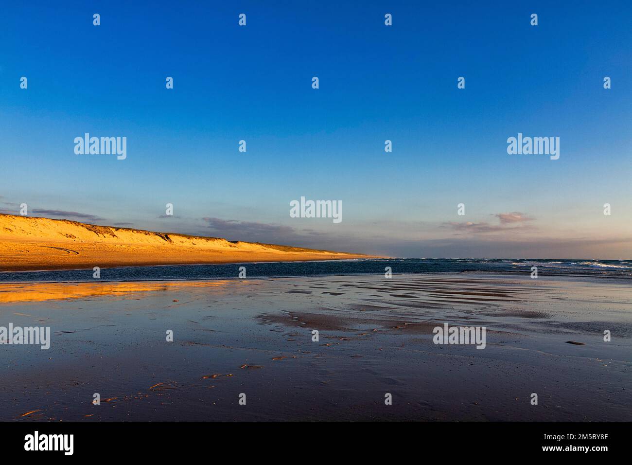 Coastline, Soustons Plage, beach and dunes illuminated by the evening ...