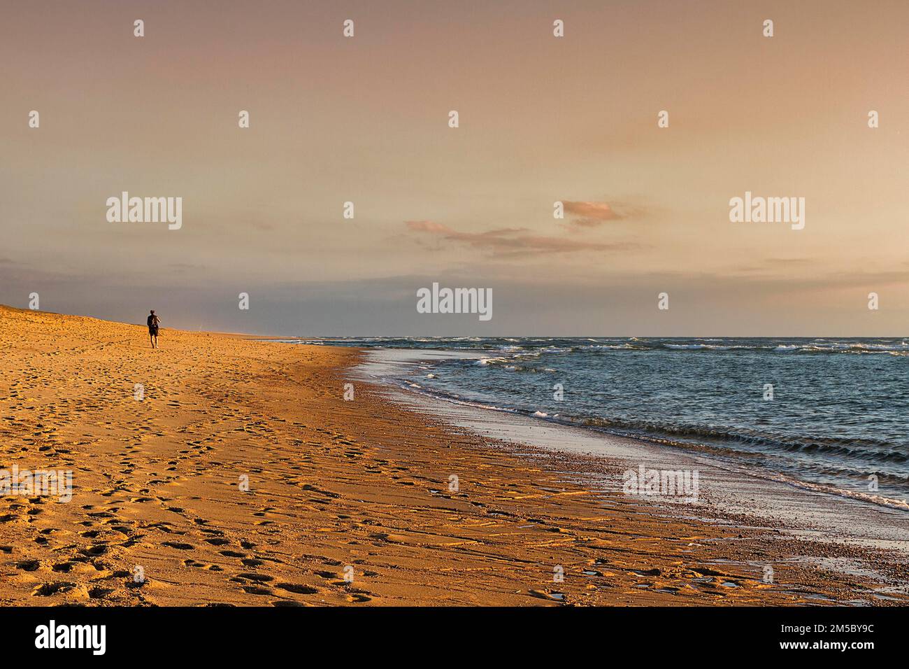 Coastline, lonely walker on beach, enjoying evening light, Soustons ...