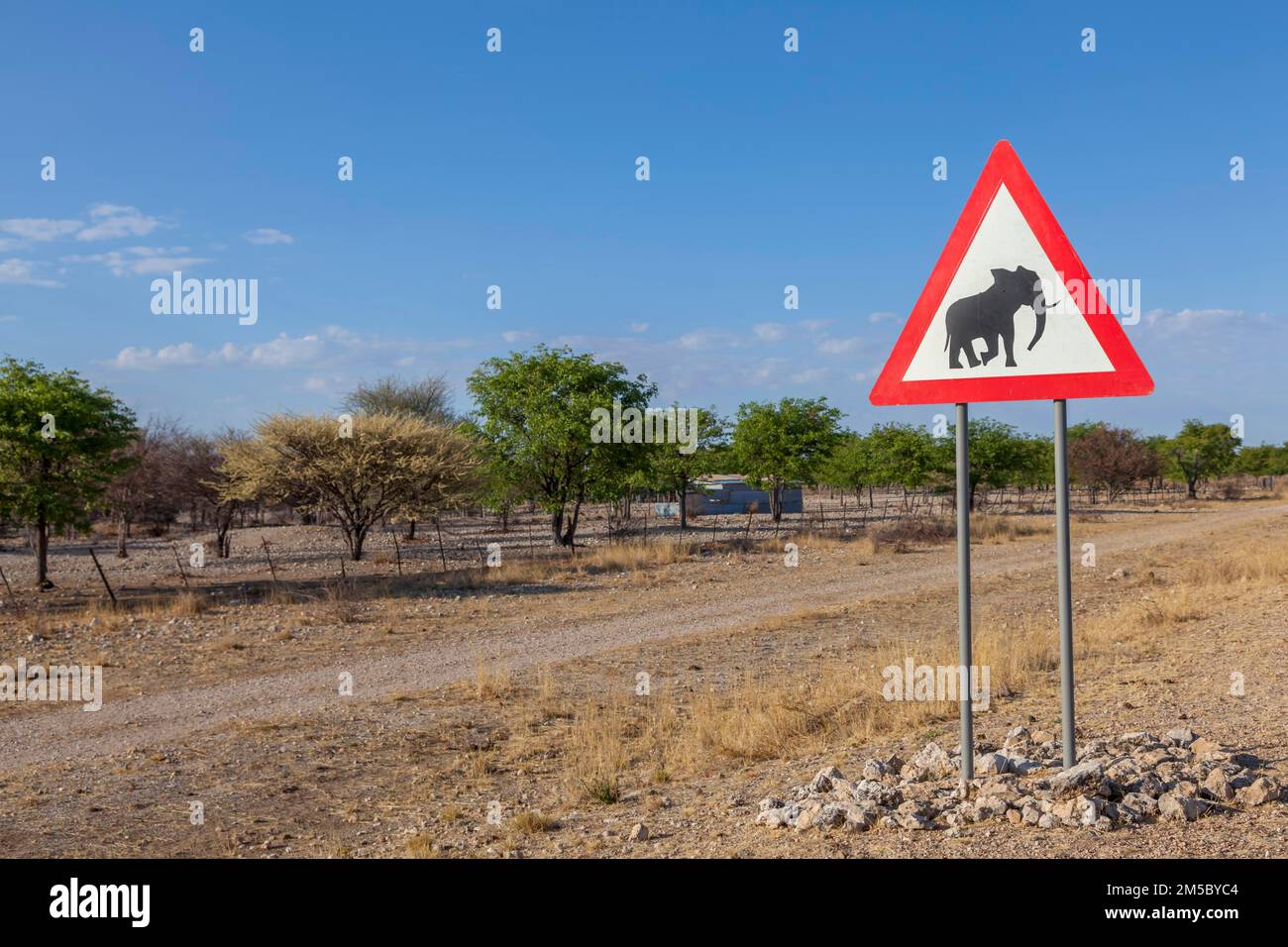 Traffic sign warning of elephants, Namibia Stock Photo - Alamy