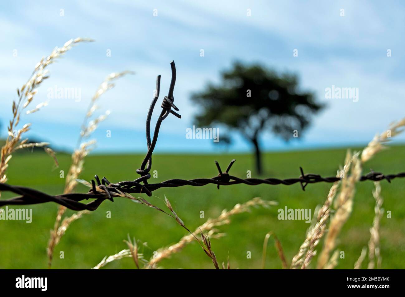 France wire hi-res stock photography and images - Alamy