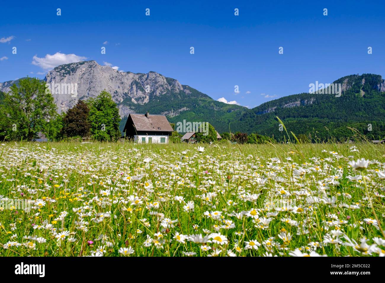The village of altaussee in austria hi-res stock photography and images ...
