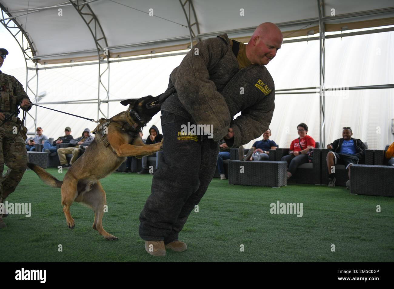 Security forces k9 handler dog hi-res stock photography and images - Alamy
