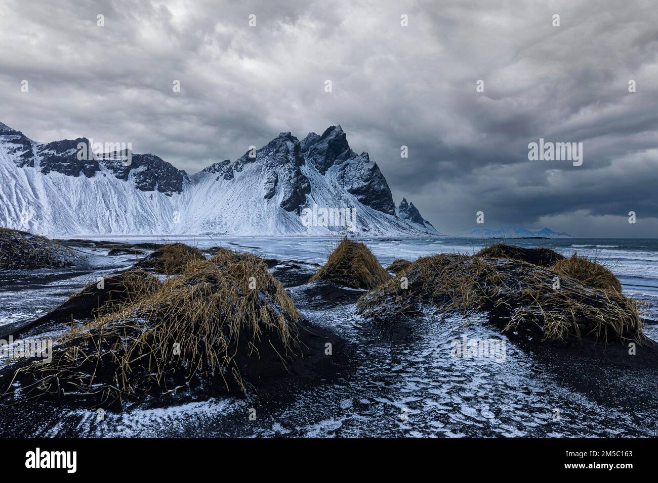 Black sand dunes with reed remains, behind them snowy rocky slopes of ...