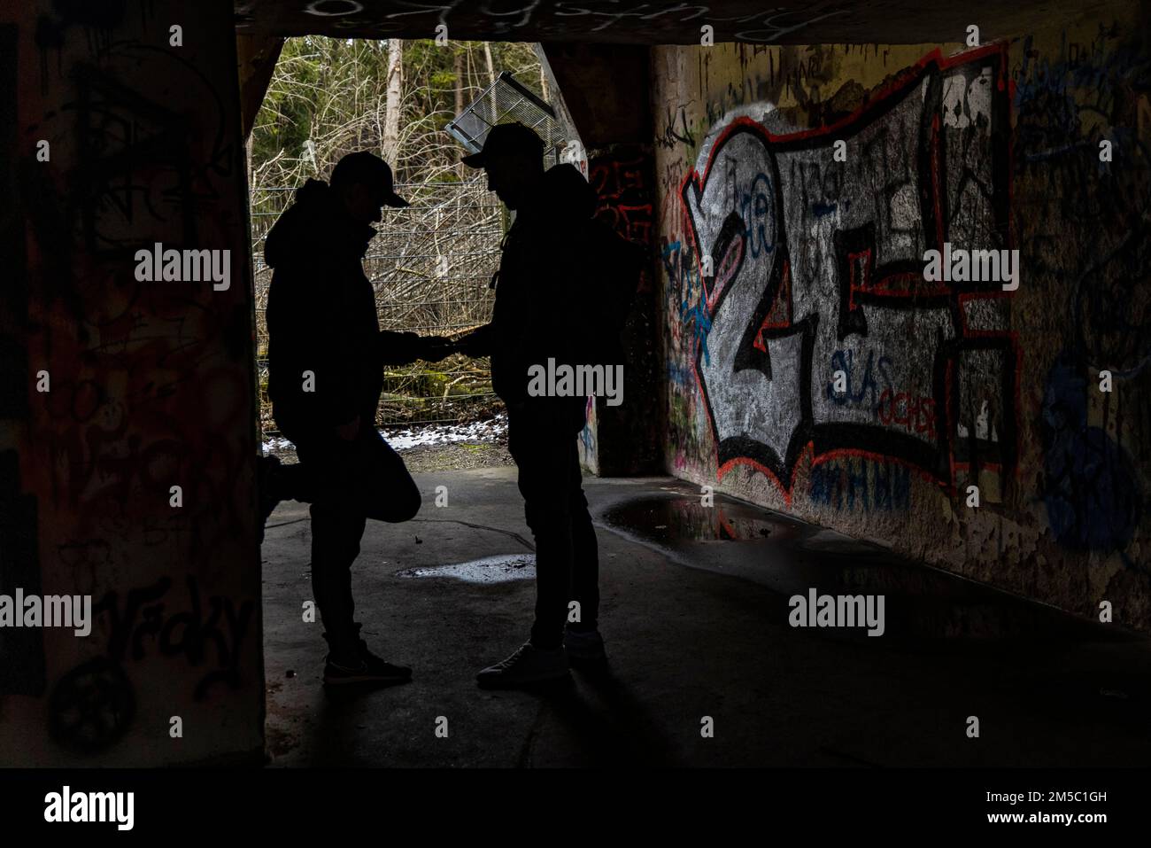 Symbolic image, drug deal, dark secret in a bunker, Ostallgaeu Bavaria ...