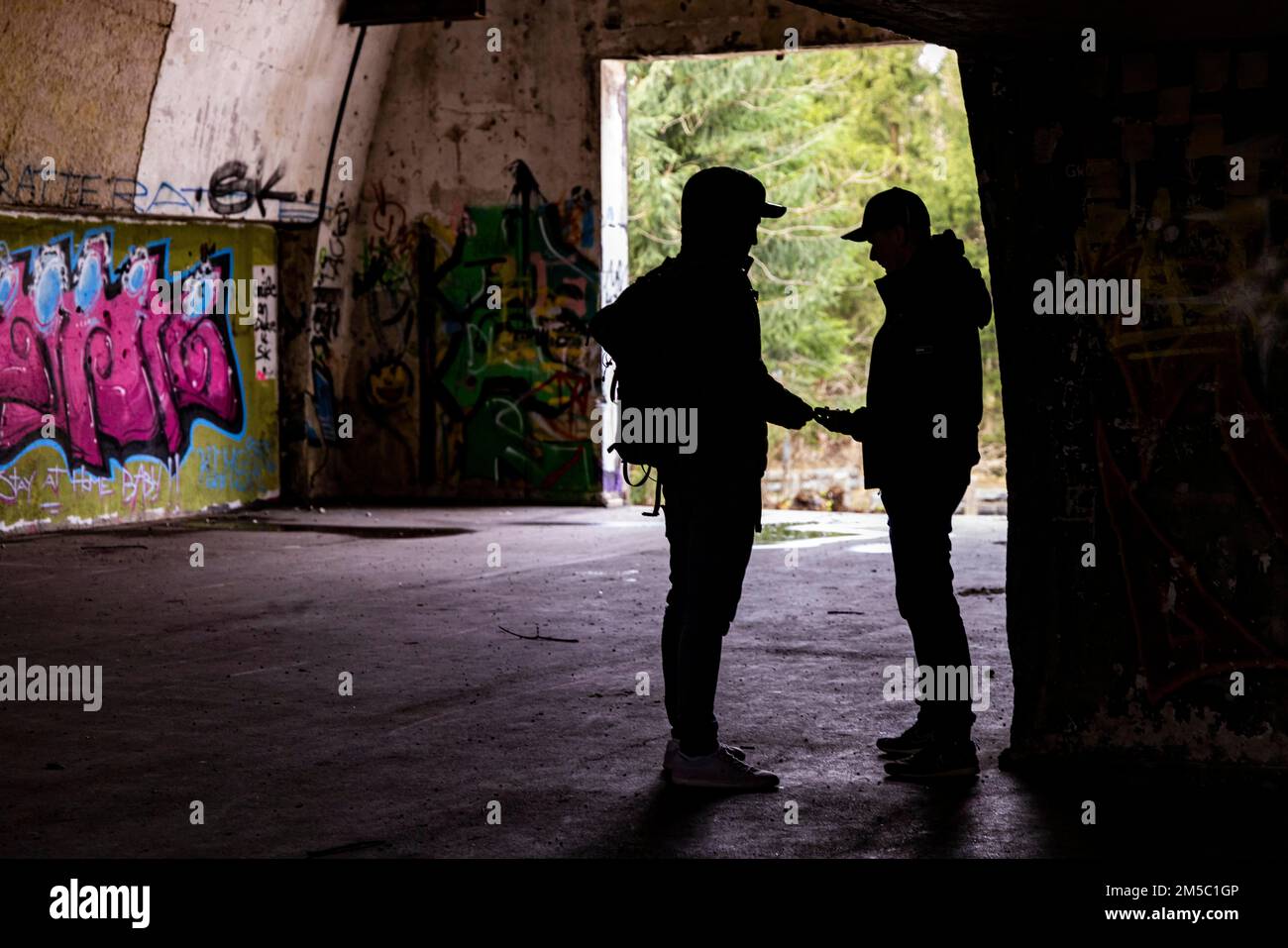 Symbolic image, drug deal, dark secret in a bunker, Ostallgaeu Bavaria ...