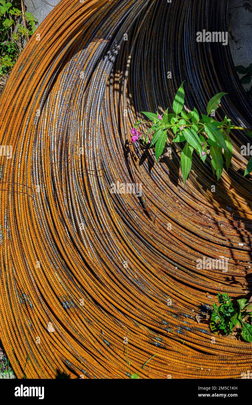 Rusted reinforcing steel with green foliage, Kempten, Allgaeu, Bavaria ...