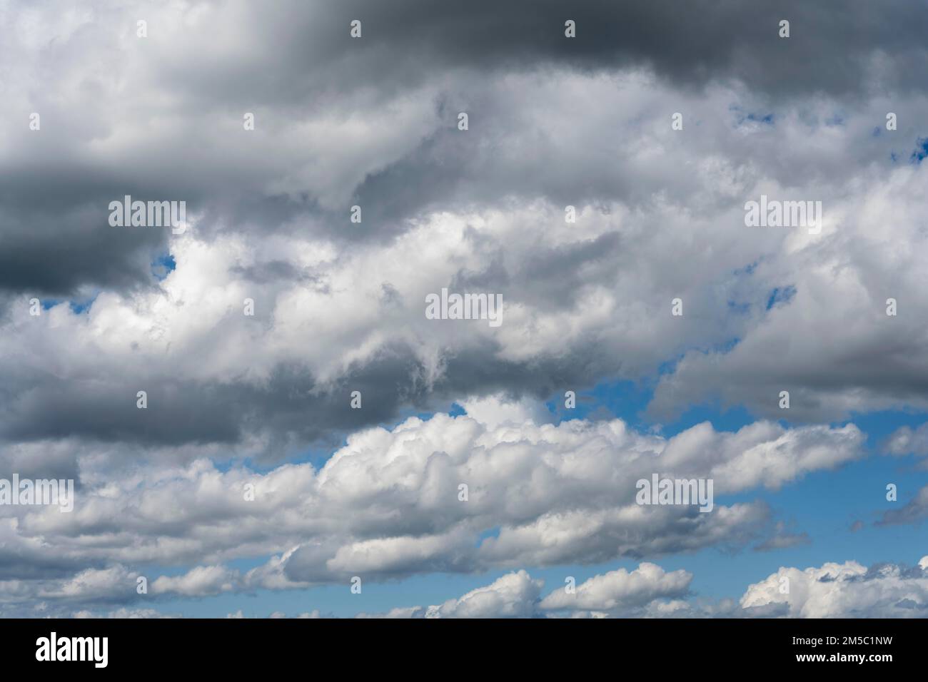 Cloud formation (cumulus), blue sky with low clouds, Baden-Wuerttemberg ...