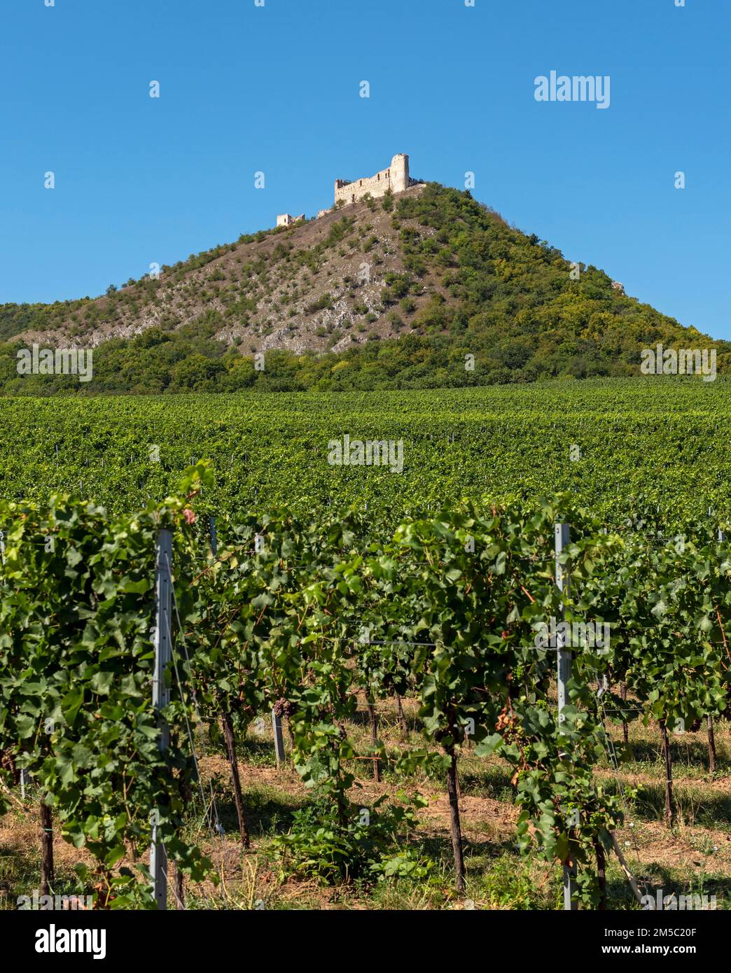 Divci castle hi-res stock photography and images - Alamy