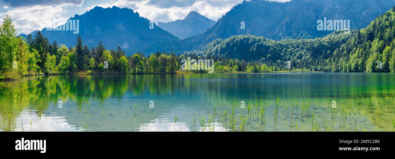 Schwansee, near Hohenschwangau, Romantic Road, Ostallgaeu, Bavaria ...