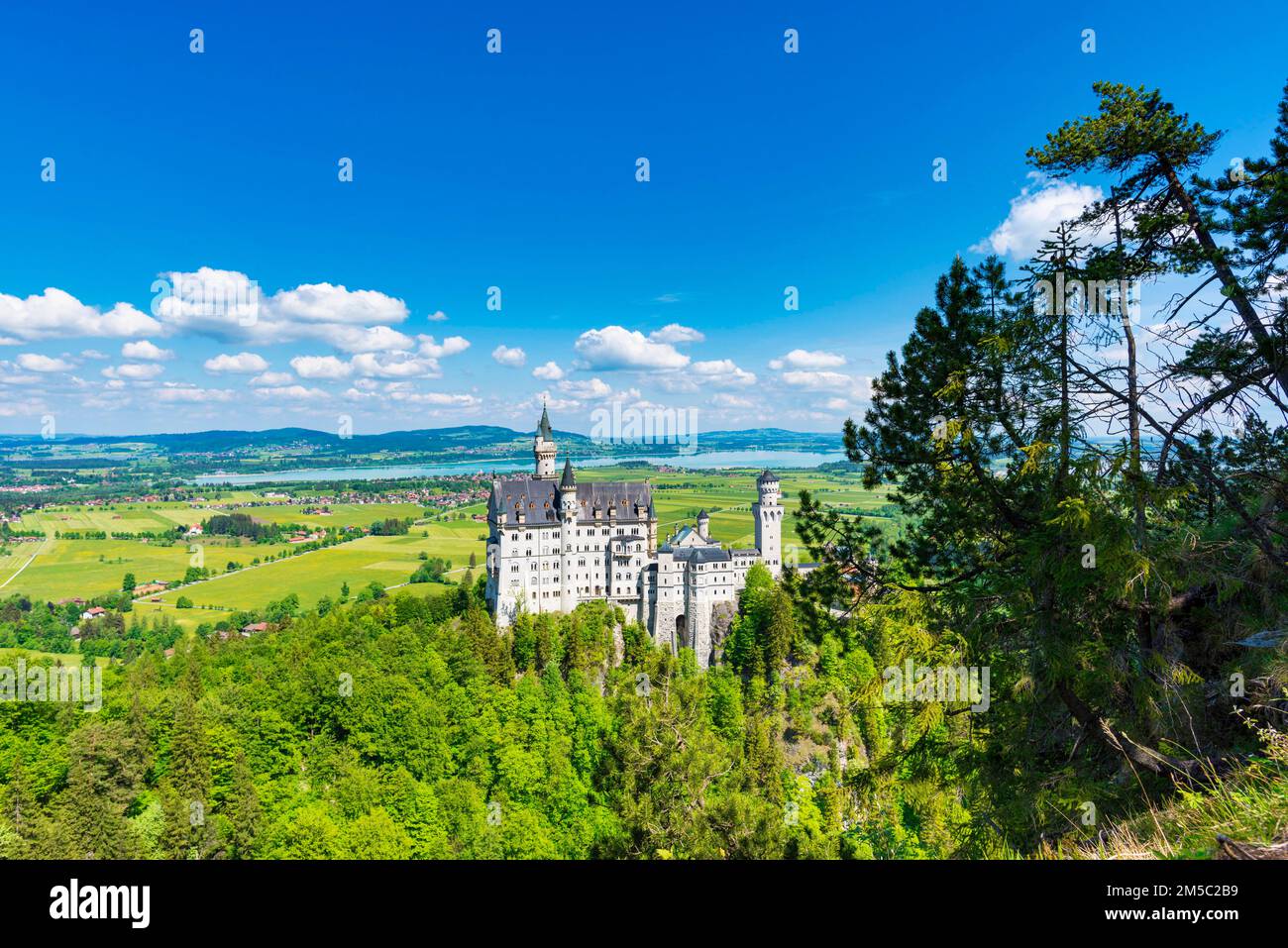 Neuschwanstein Castle near Hohenschwangau, Romantic Road, Ostallgaeu ...
